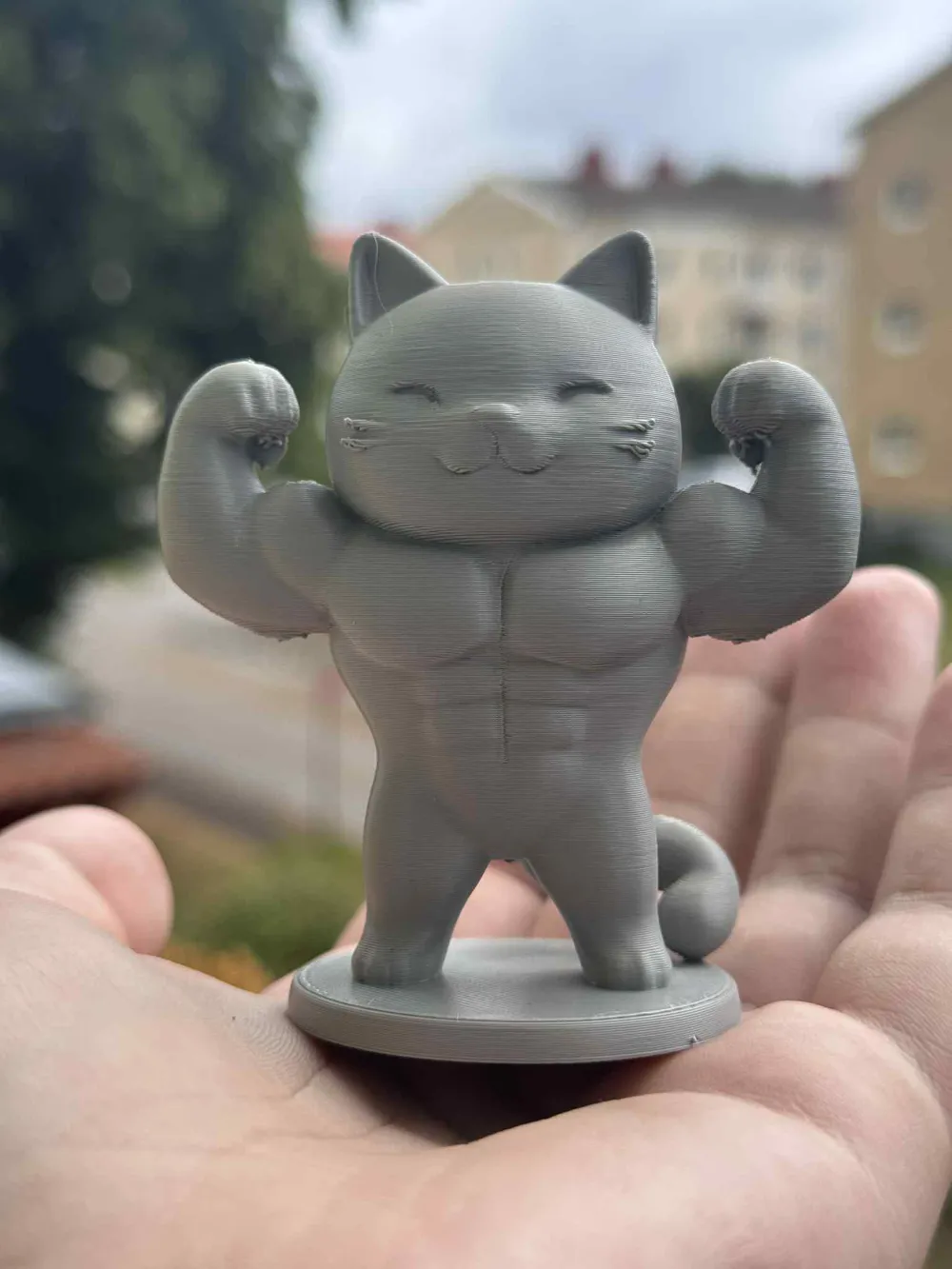 Sigma Cat – Muscle Cat Figurine - Free 3D Print Model - MakerWorld