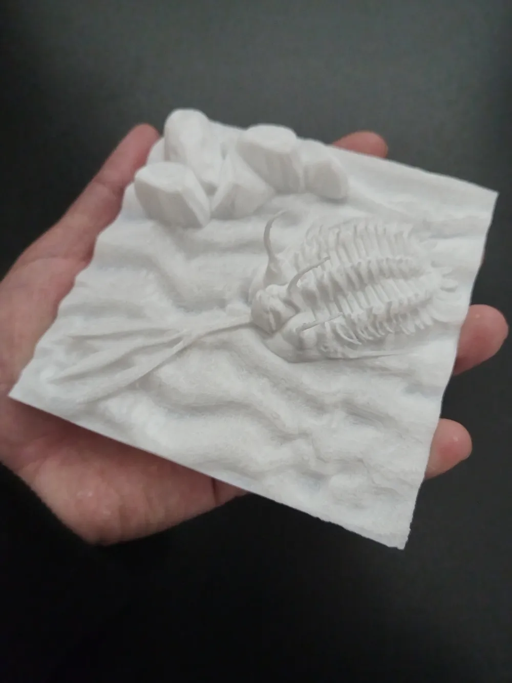 Trident Trilobite - Free 3D Print Model - MakerWorld