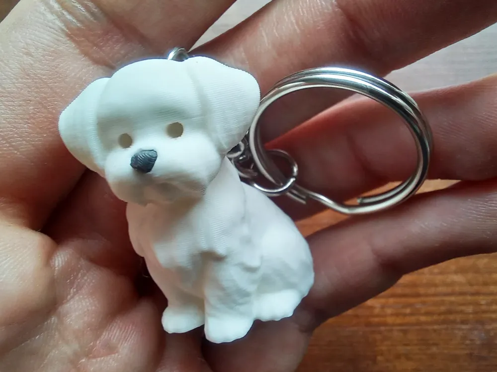 Little Maltese Dog Keychain by Wölhart - MakerWorld