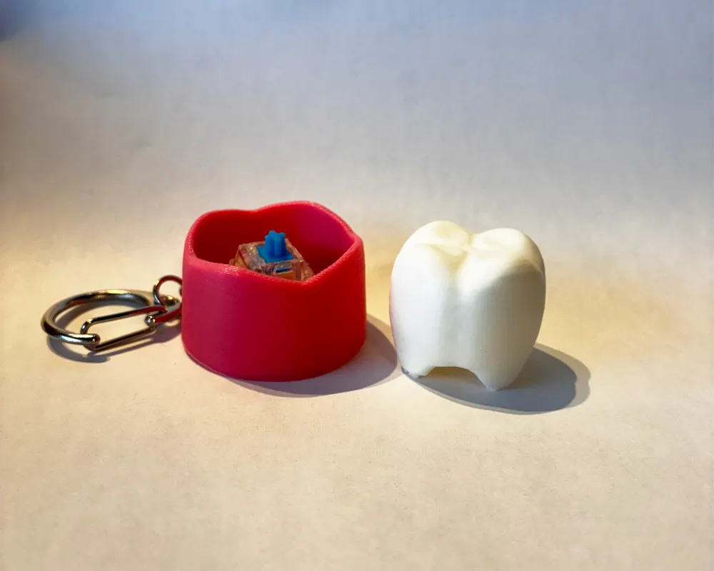 Toothclicker - Free 3D Print Model - MakerWorld