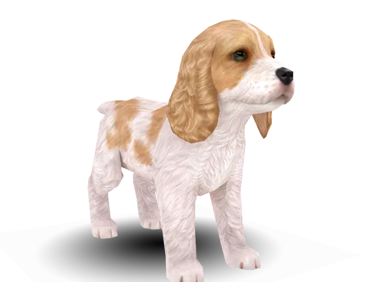 English Cocker Spaniel – Inspired by Handheld Pet - Free 3D Print Model ...