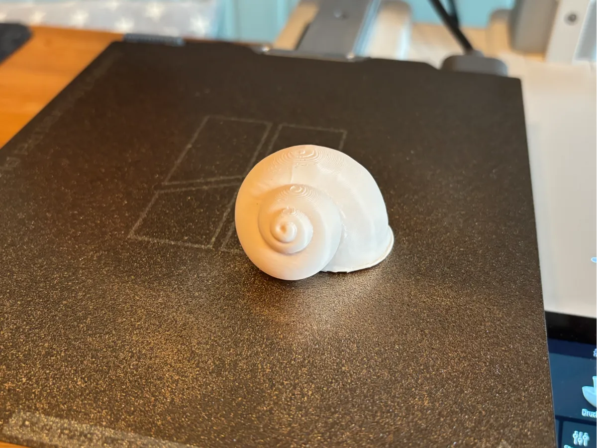 Roman Snail Shell - Free 3D Print Model - MakerWorld