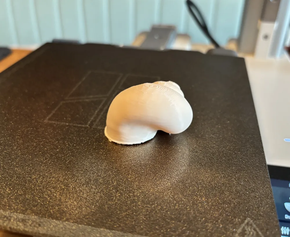 Roman Snail Shell - Free 3D Print Model - MakerWorld