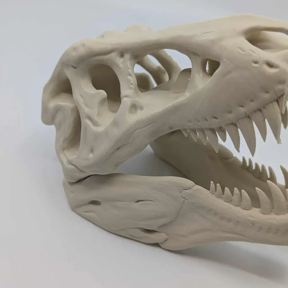 The T-Rex Skull Reptile, Arachnid, Snake Hide by SchmerBle MakerWorld ...