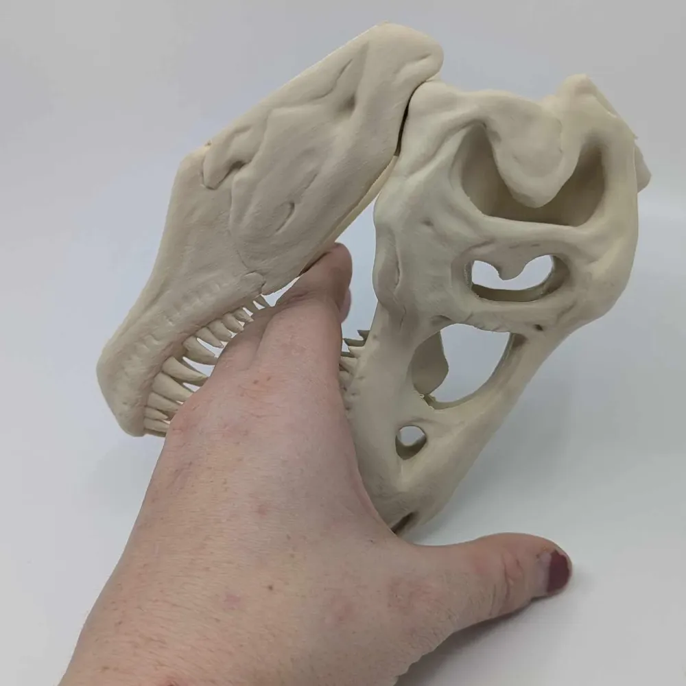 The T-Rex Skull Reptile, Arachnid, Snake Hide Remixed by ...