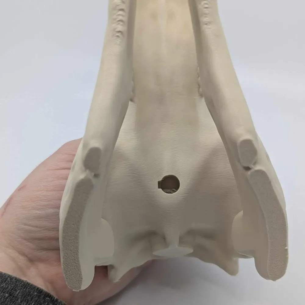 The T-Rex Skull Reptile, Arachnid, Snake Hide by SchmerBle MakerWorld ...