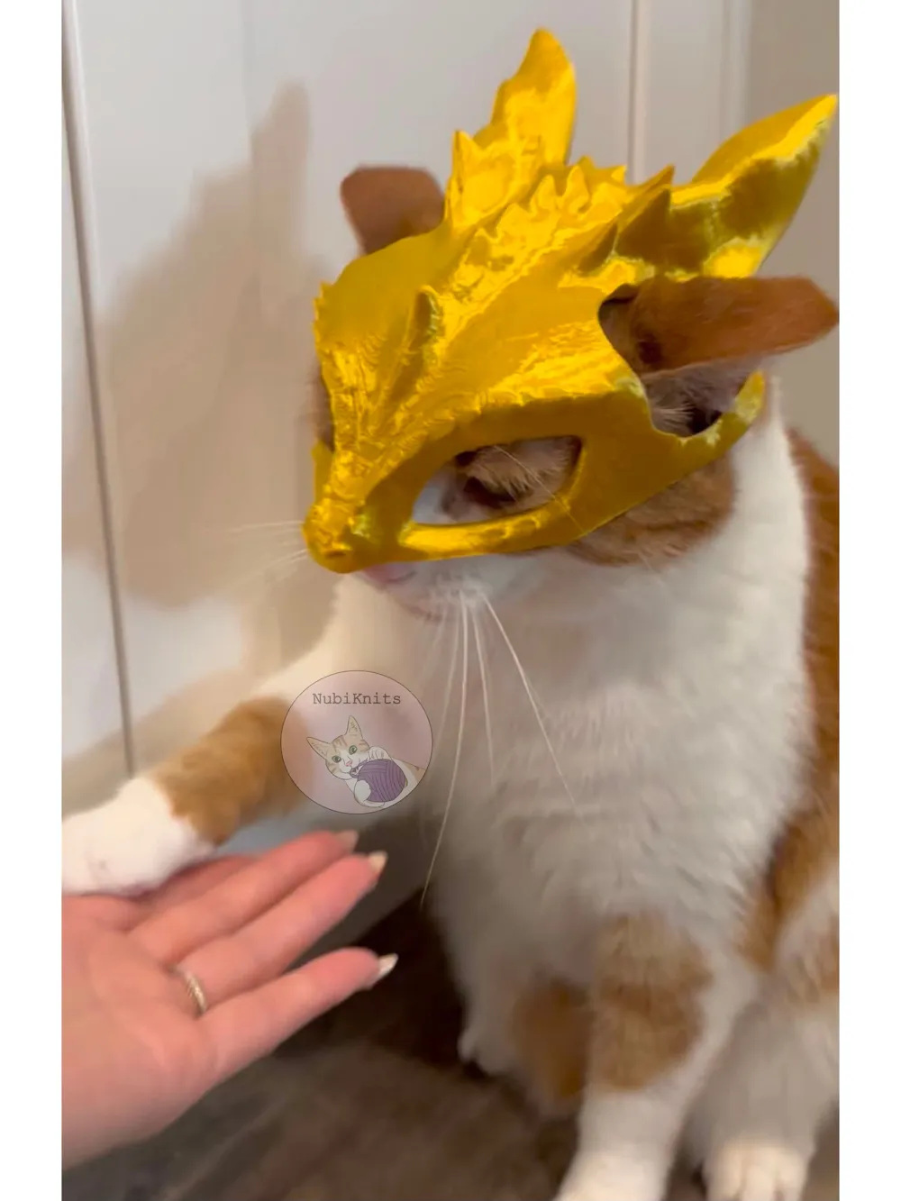 Dragon Cat Mask - Tairn and Adarna - Free 3D Print Model - MakerWorld
