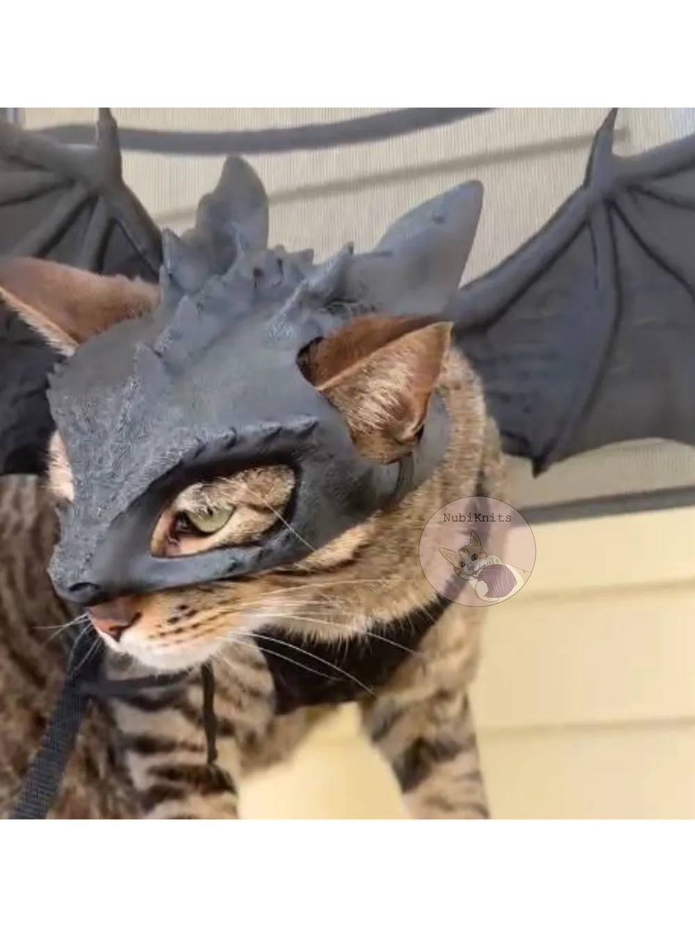 Dragon Cat Mask - Tairn and Adarna - Free 3D Print Model - MakerWorld