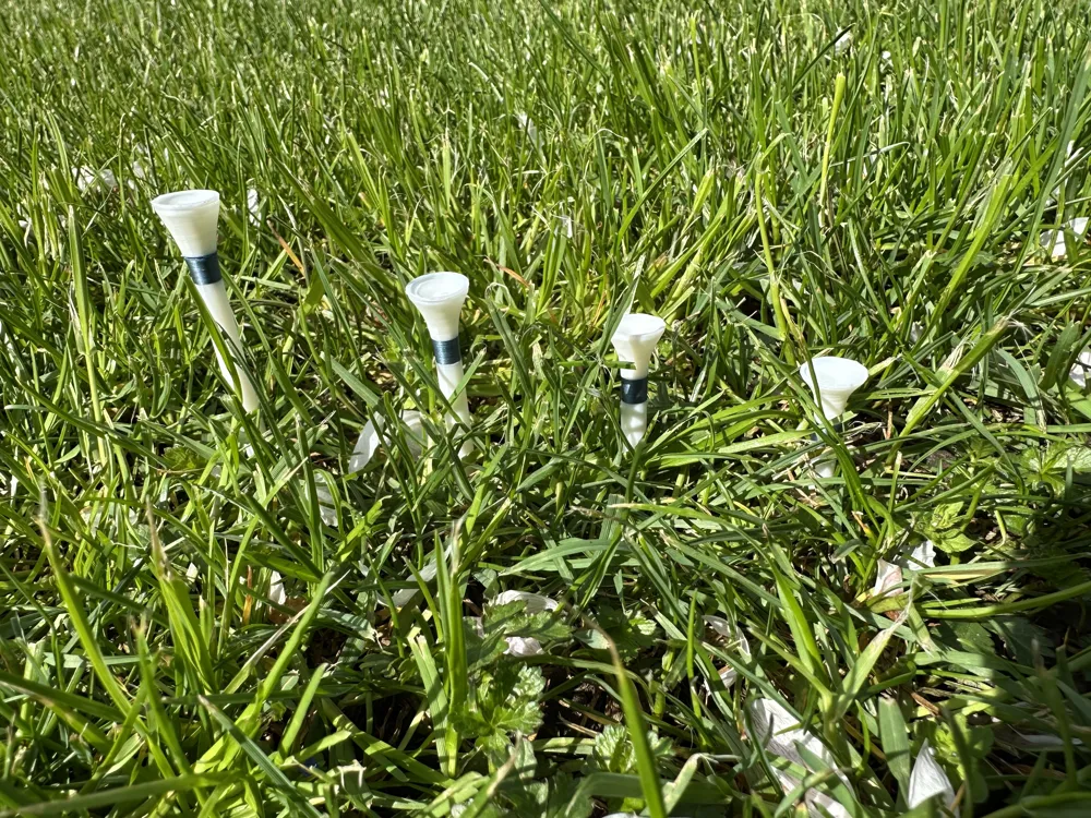 Golf Tee - Free 3D Print Model - MakerWorld