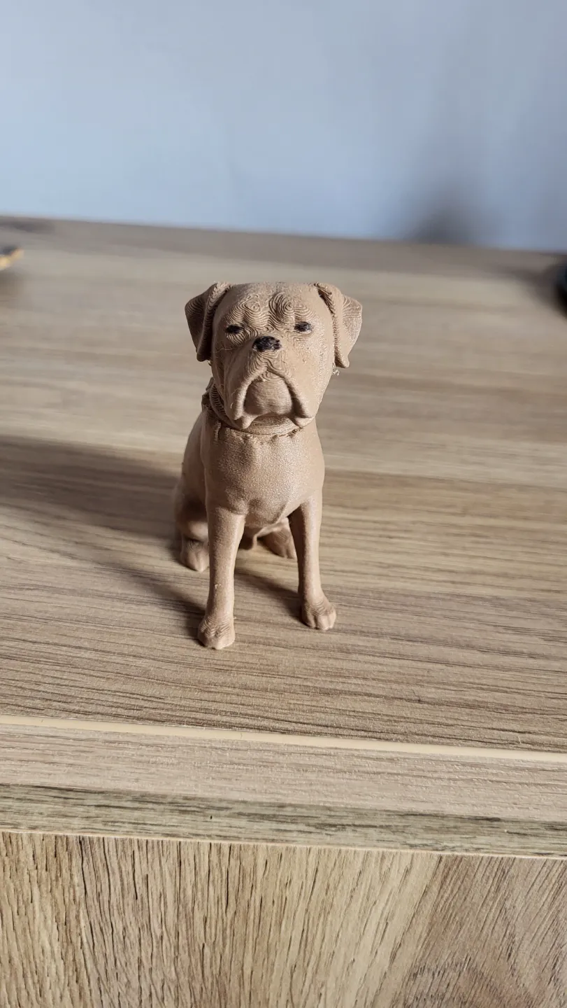 Bouncing head boxer breed dog by Adam MakerWorld: Download Free 3D Models