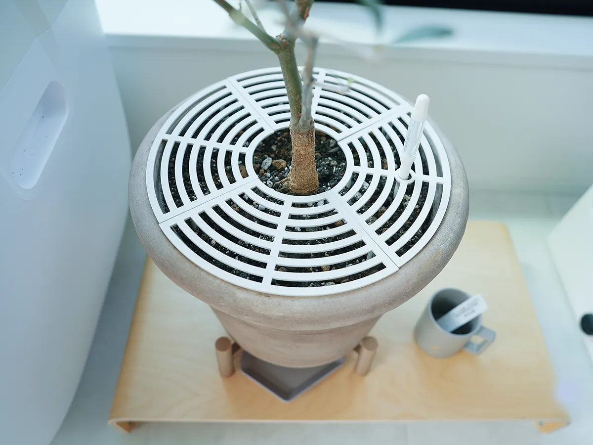 Plant pot guard - Free 3D Print Model - MakerWorld