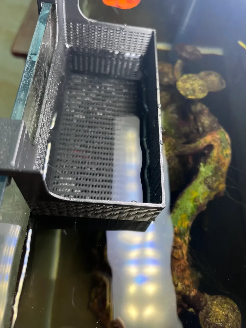 Fish Tank Breeding Box by Mr li MakerWorld: Download Free 3D Models