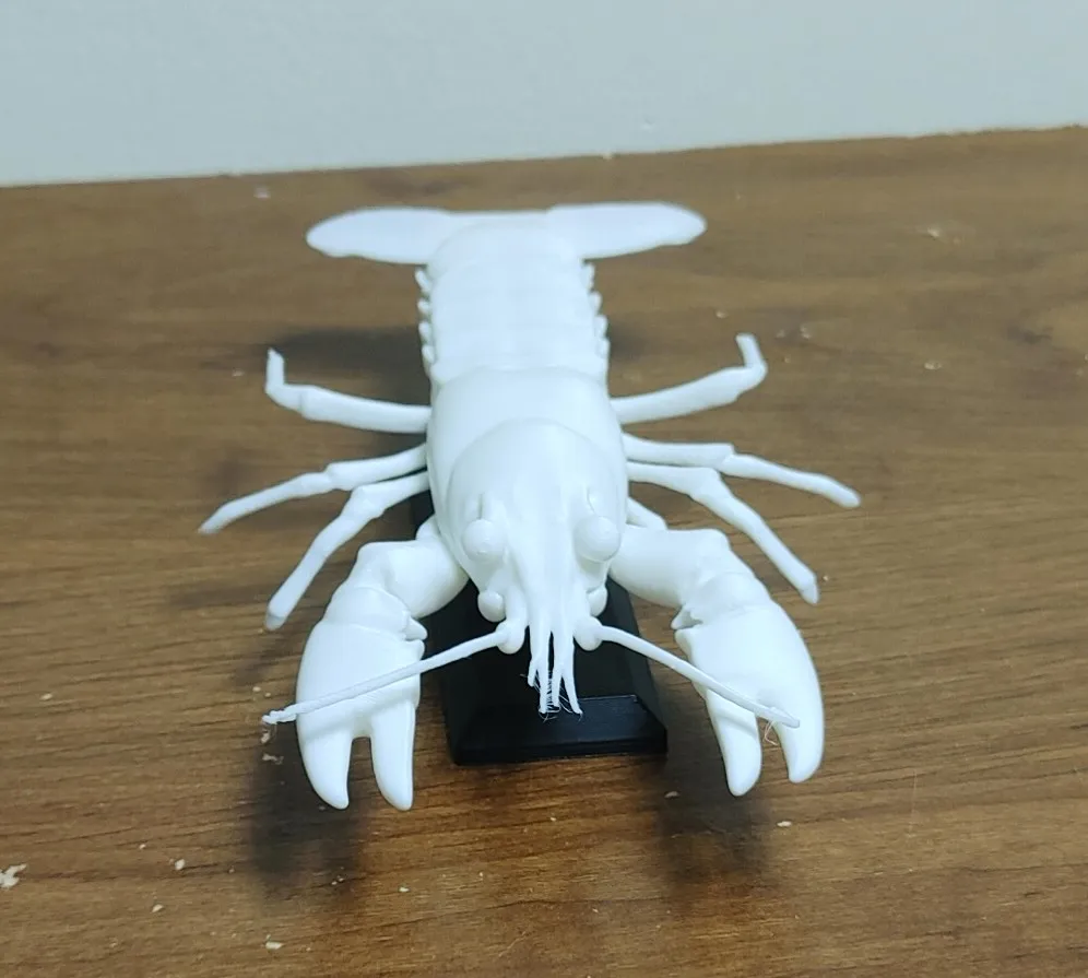 Freshwater Crayfish Mount by Fish Prints MakerWorld: Download Free 3D ...