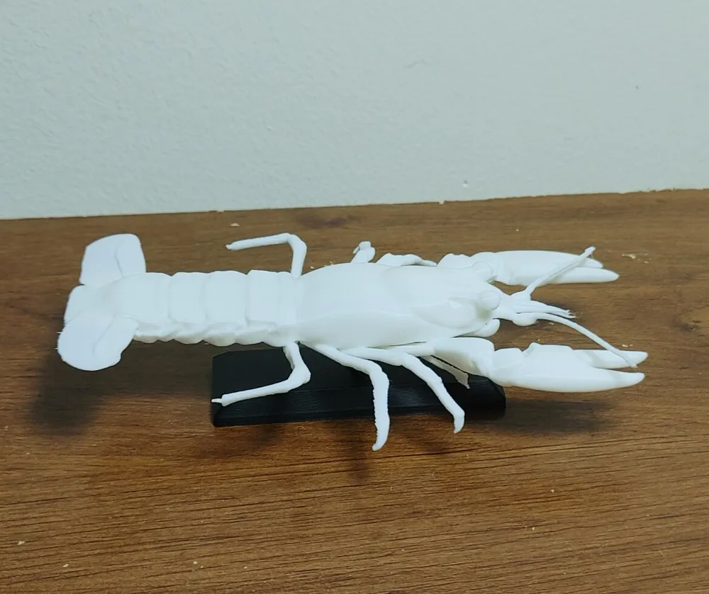 Freshwater Crayfish Mount by Fish Prints MakerWorld: Download Free 3D ...