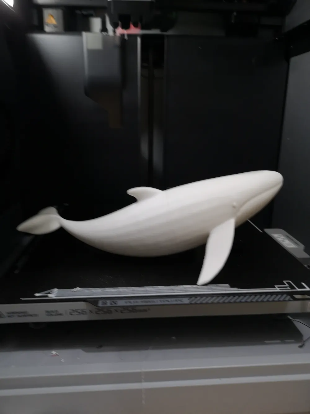 Modern White Whale Sculpture by Eclipse 3D - MakerWorld