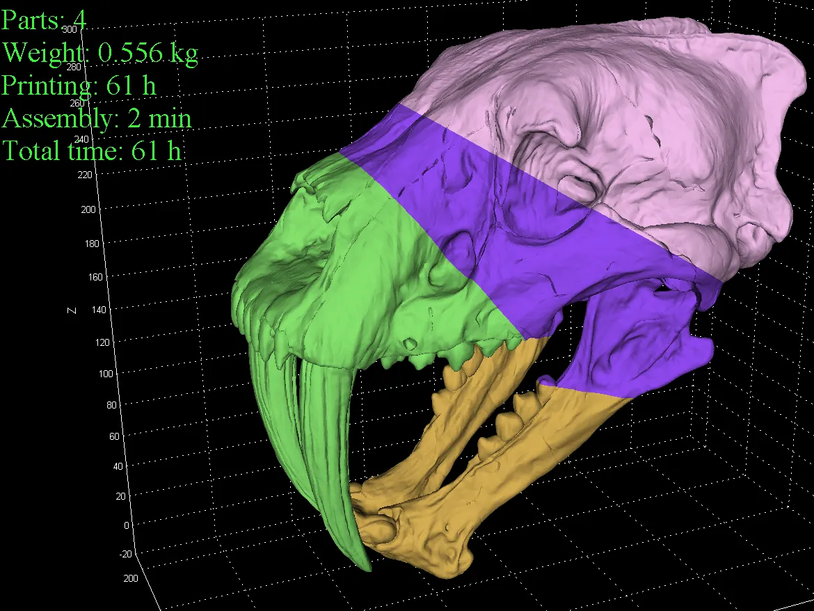 Lifesize Sabertooth Tiger Skull (Smilodon) - Free 3D Print Model ...
