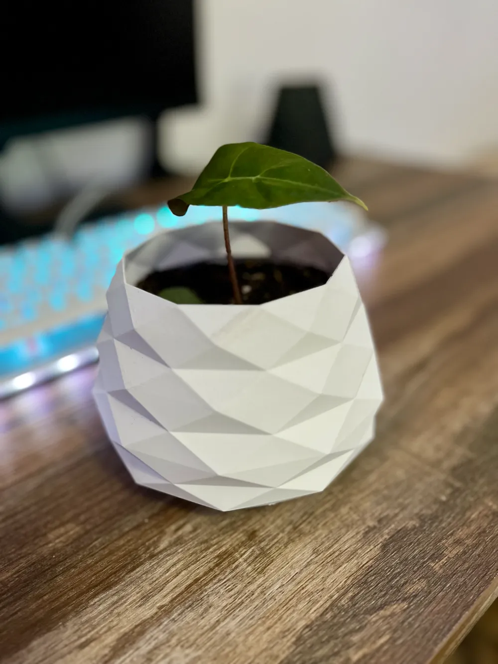 Small low poly pot by Noah - MakerWorld
