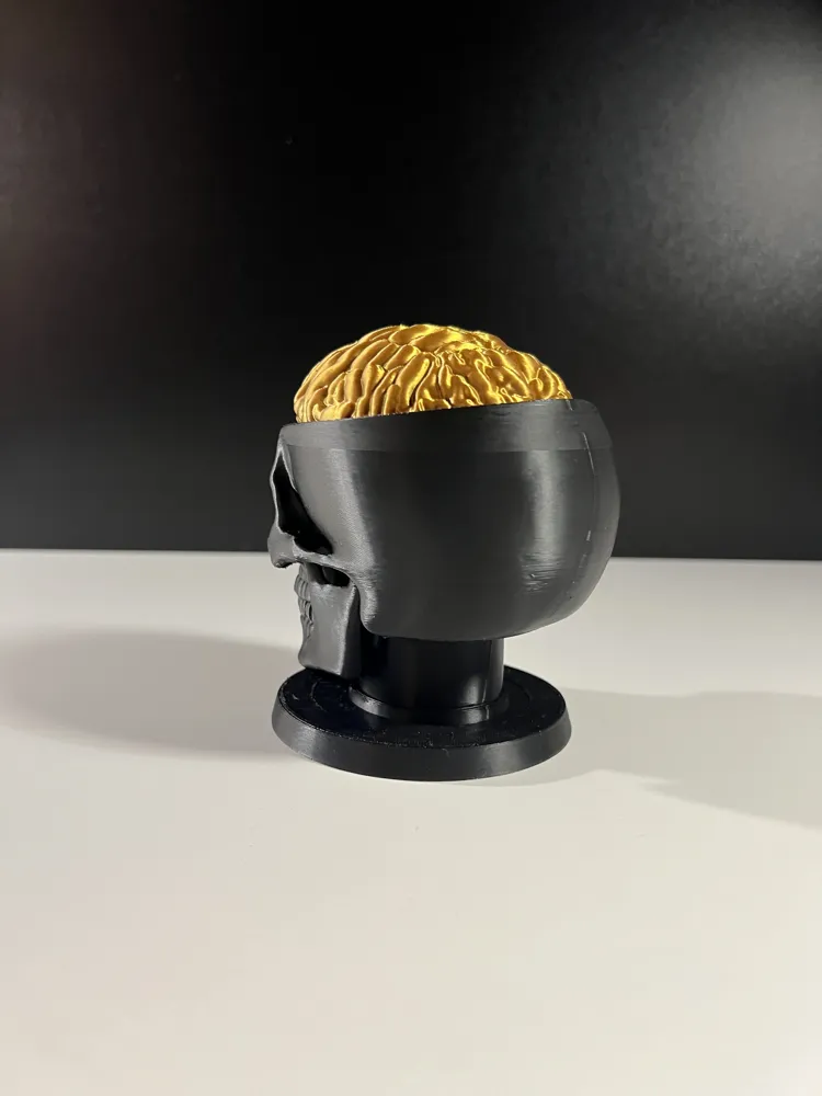 Brain Skull by MrGravity MakerWorld: Download Free 3D Models