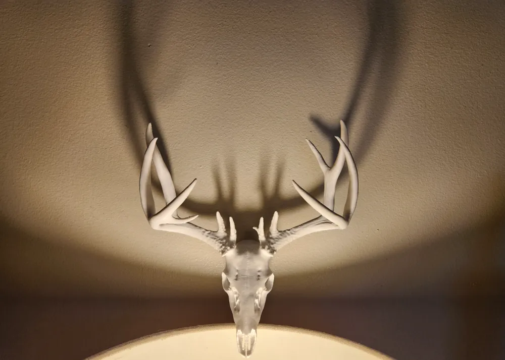 "Blacktail" Deer Skull - Free 3D Print Model - MakerWorld