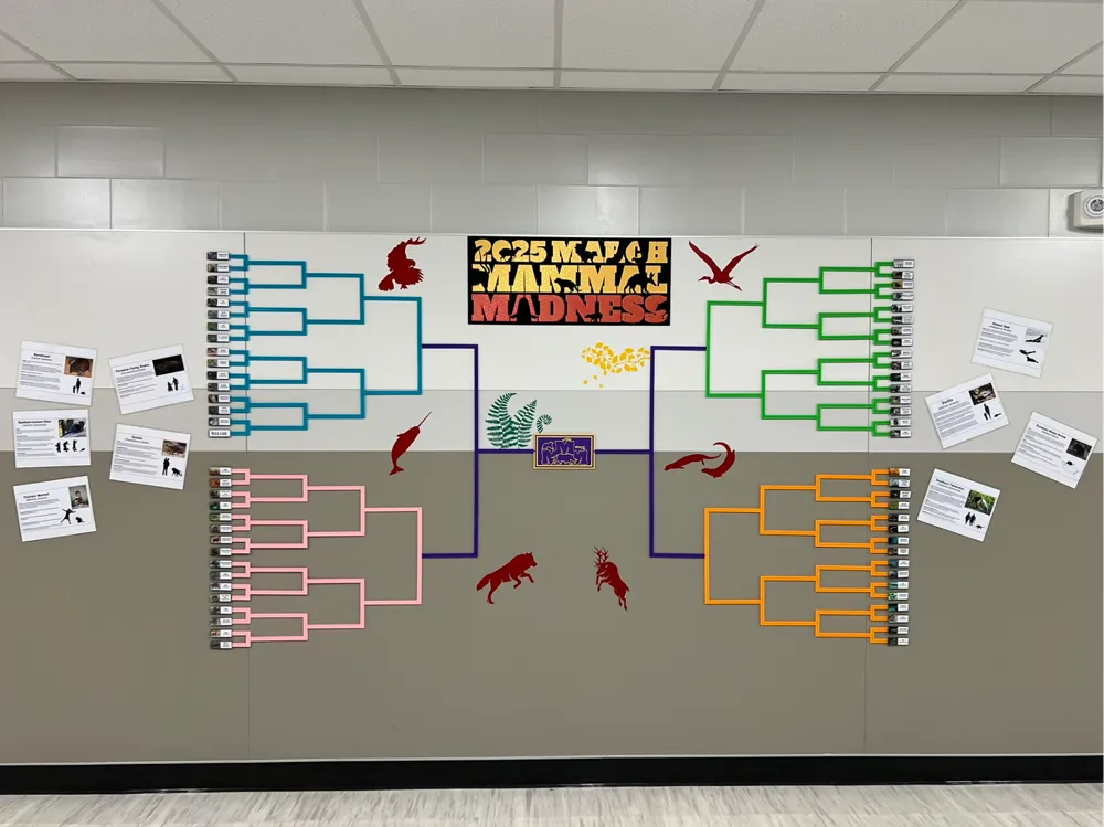 March Mammal Madness Wall Bracket by Alkylaid - MakerWorld