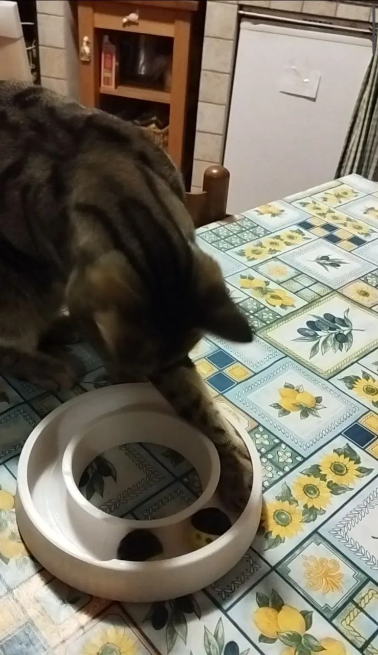 Cat toy spin ball by Sicox3D - MakerWorld