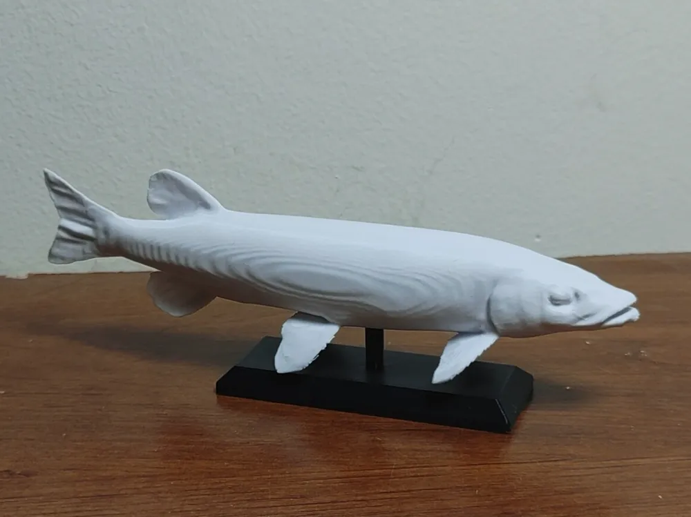Northern Pike Fish Mount by Fish Prints MakerWorld: Download Free 3D Models