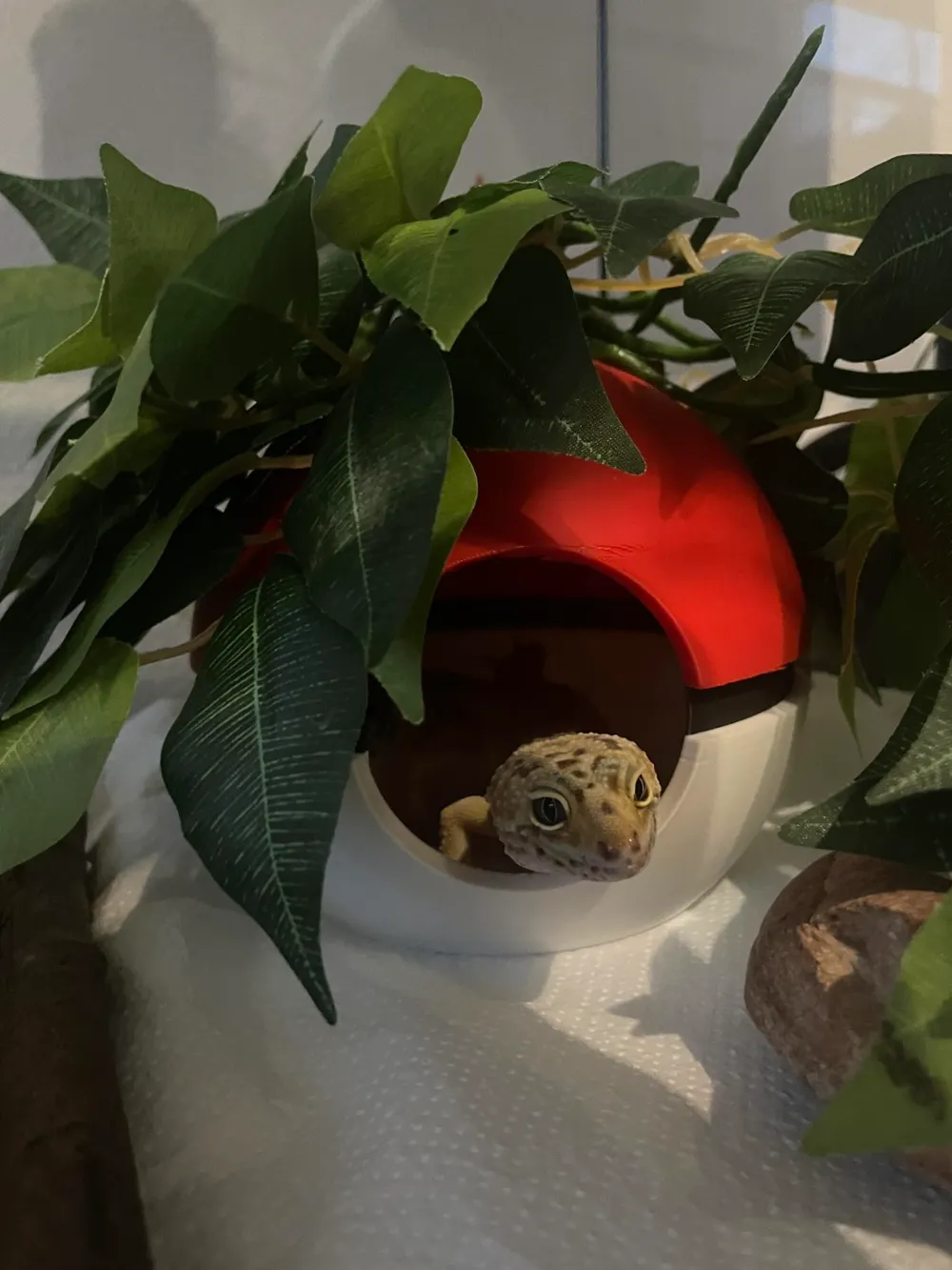 Pokemon Pokeball Hide - PokeHide AMS by phyXoo - MakerWorld