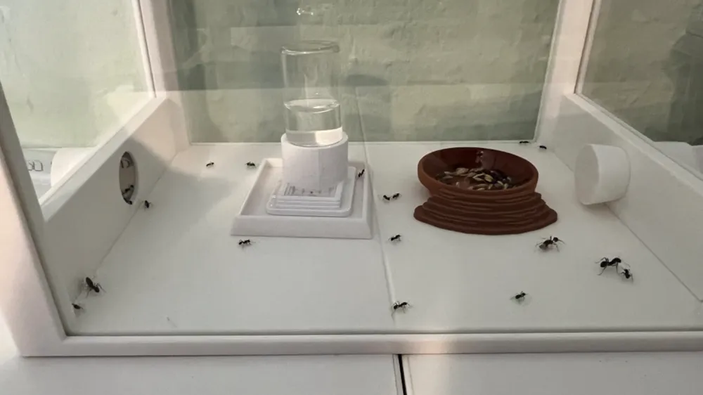 AntHome - Ant Formicarium by Hendrik3D MakerWorld: Download Free 3D Models