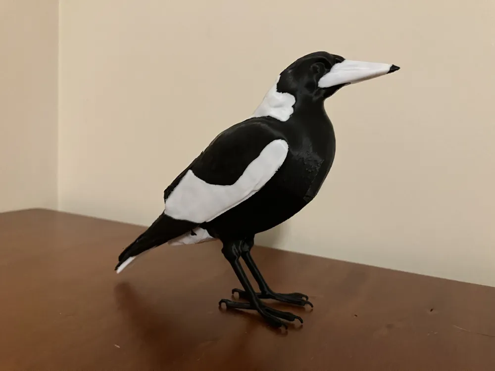 Magpie (Australian) by Arlo MakerWorld: Download Free 3D Models