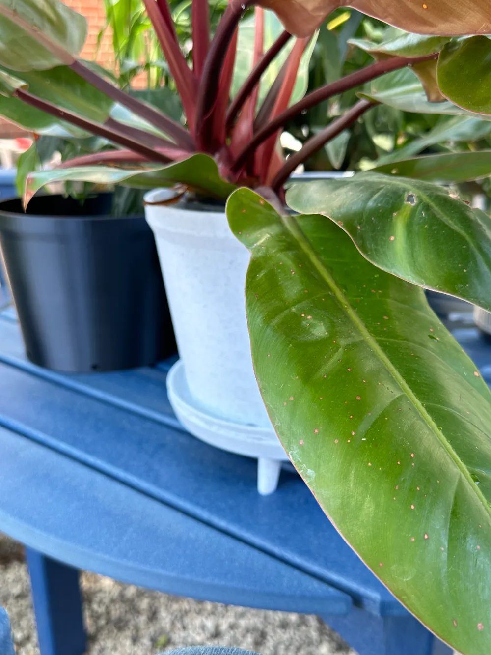 Planter large size by Nubs 3d - MakerWorld