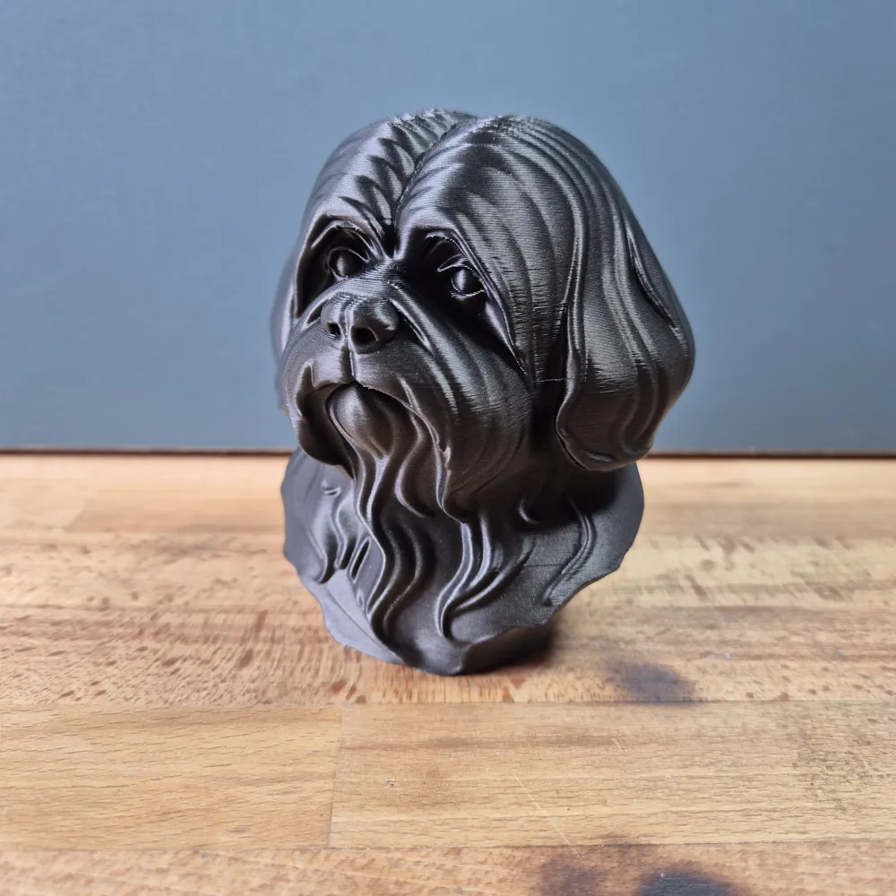 Lhasa Apso Bust by Mr.Jay MakerWorld: Download Free 3D Models