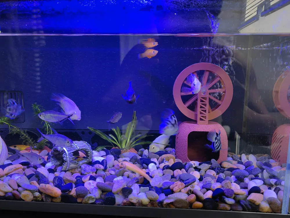 Non-powered water wheel, fish tank hideaway - Free 3D Print Model ...