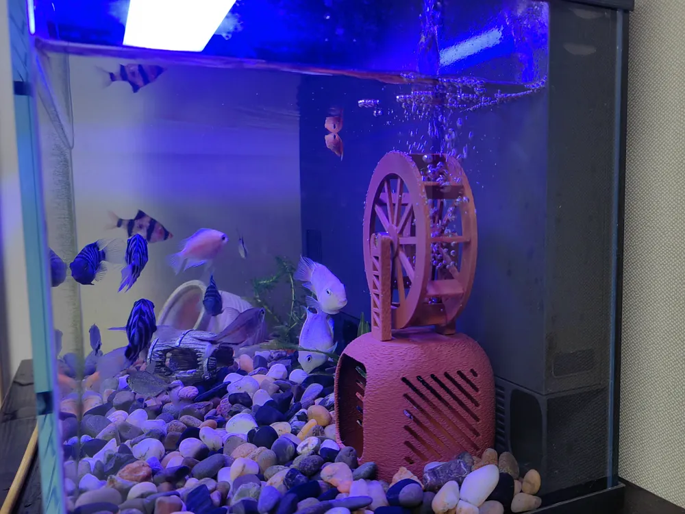 Non-powered water wheel, fish tank hideaway - Free 3D Print Model ...