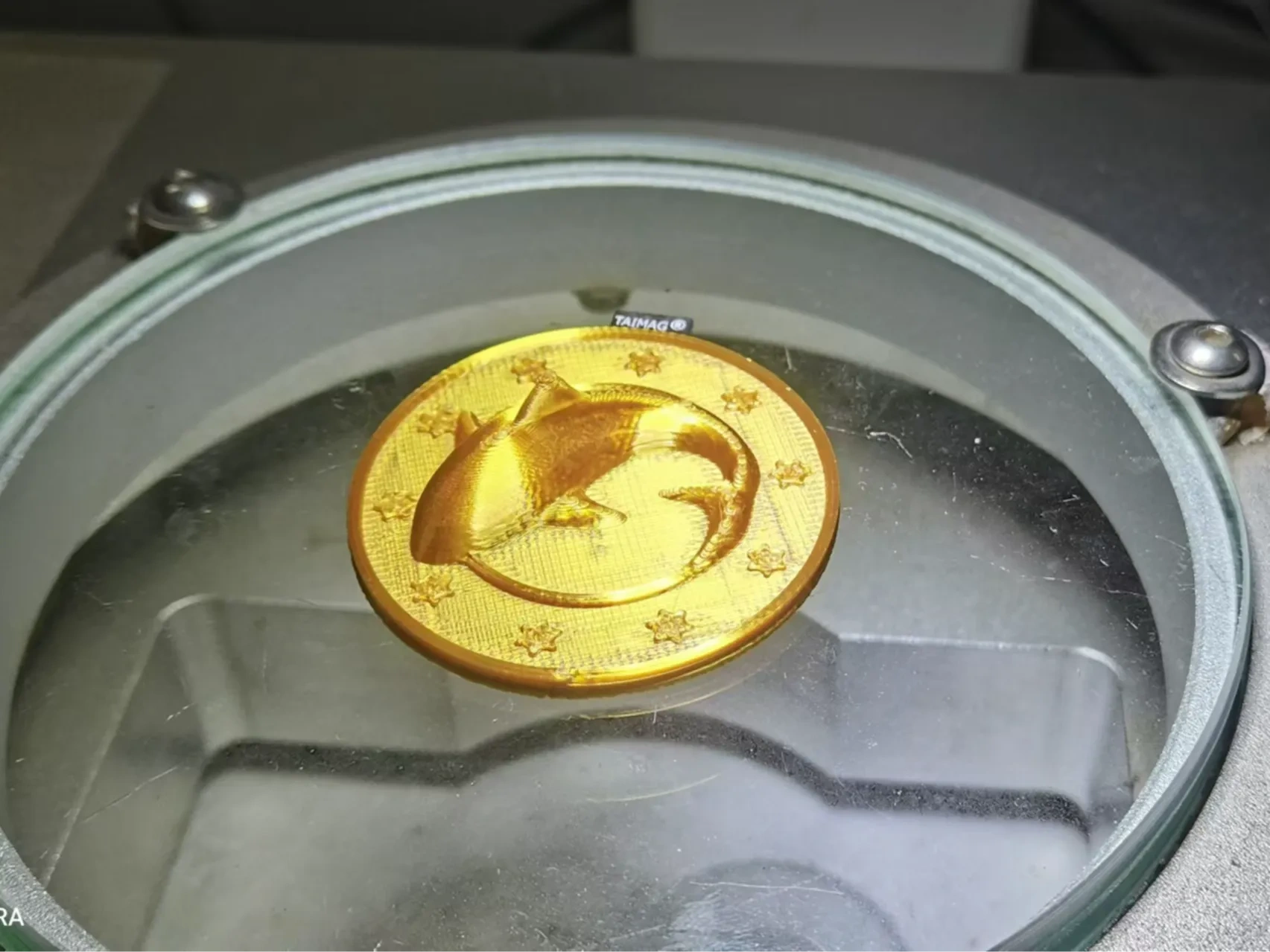 Shark Coin - A symbol of wisdom by kari - MakerWorld