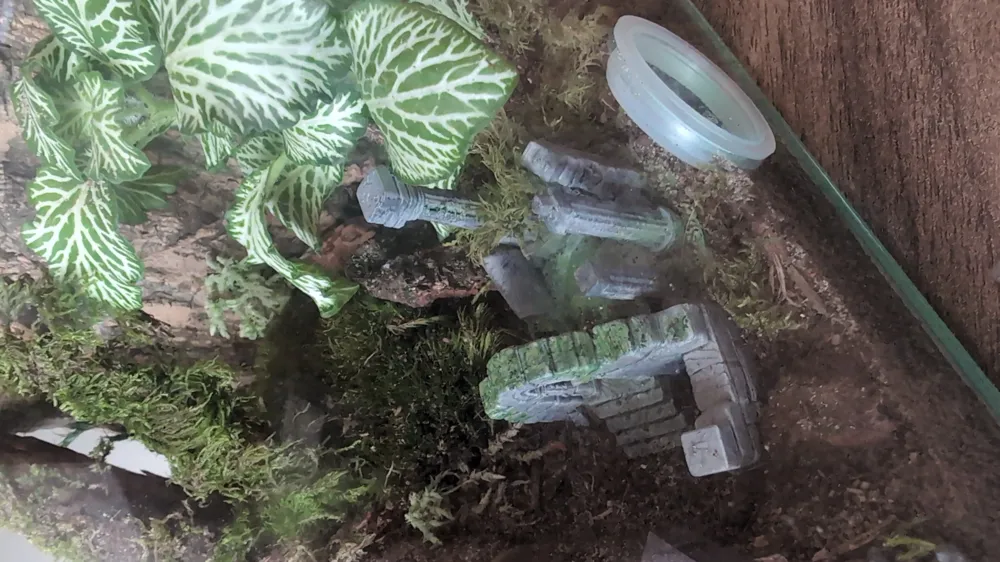 Ancient ruin terrarium ornament/ant feeder by Smithm8 MakerWorld ...