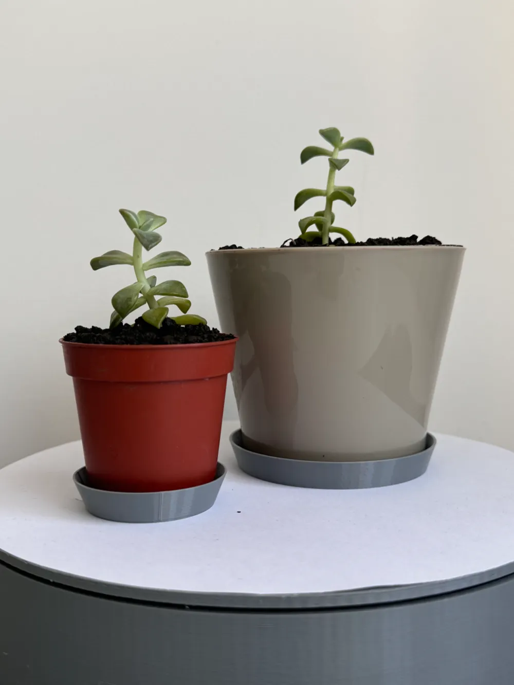 Pot plates set by MIHAI_T - MakerWorld