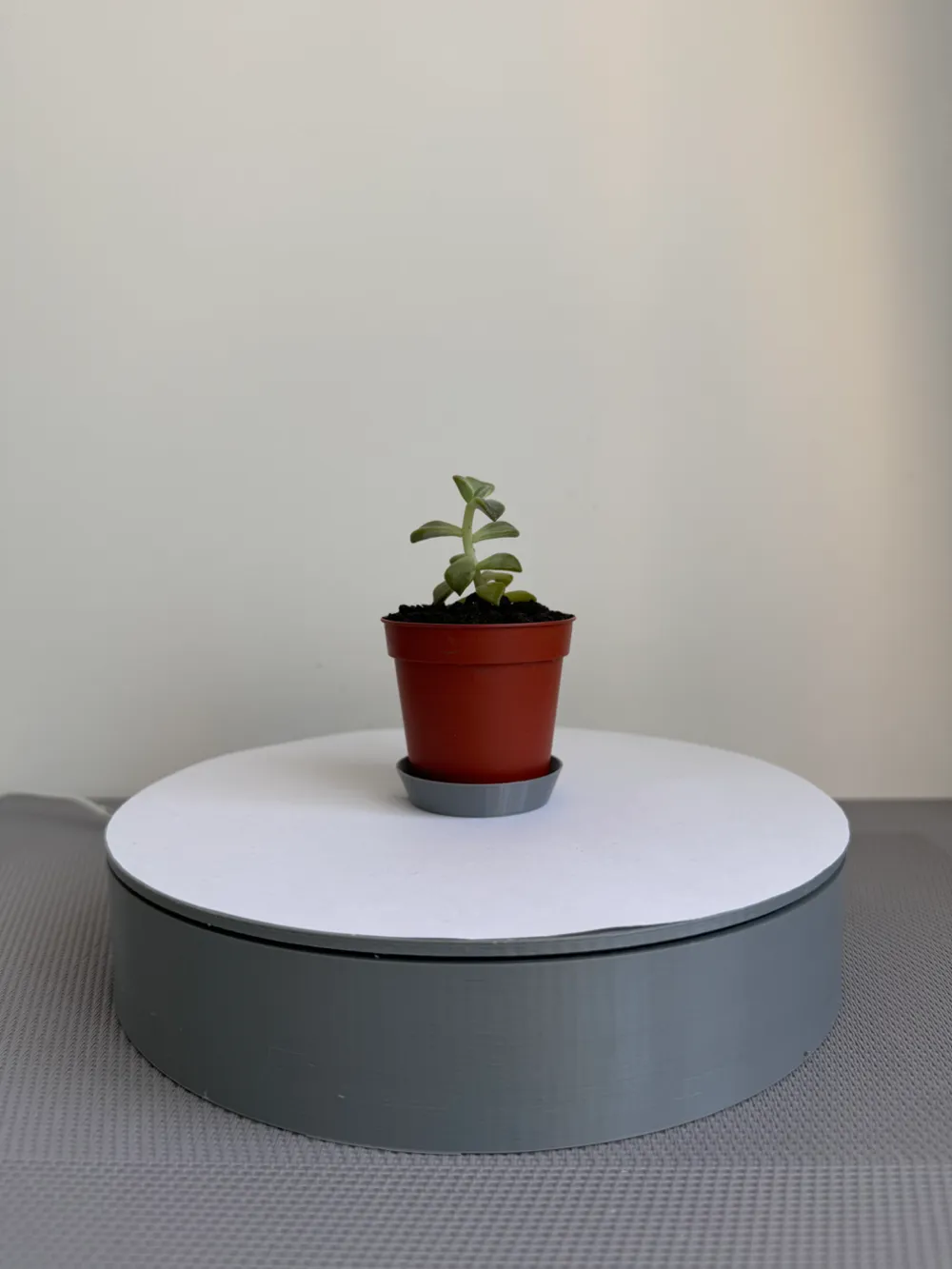 Pot plates set by MIHAI_T - MakerWorld