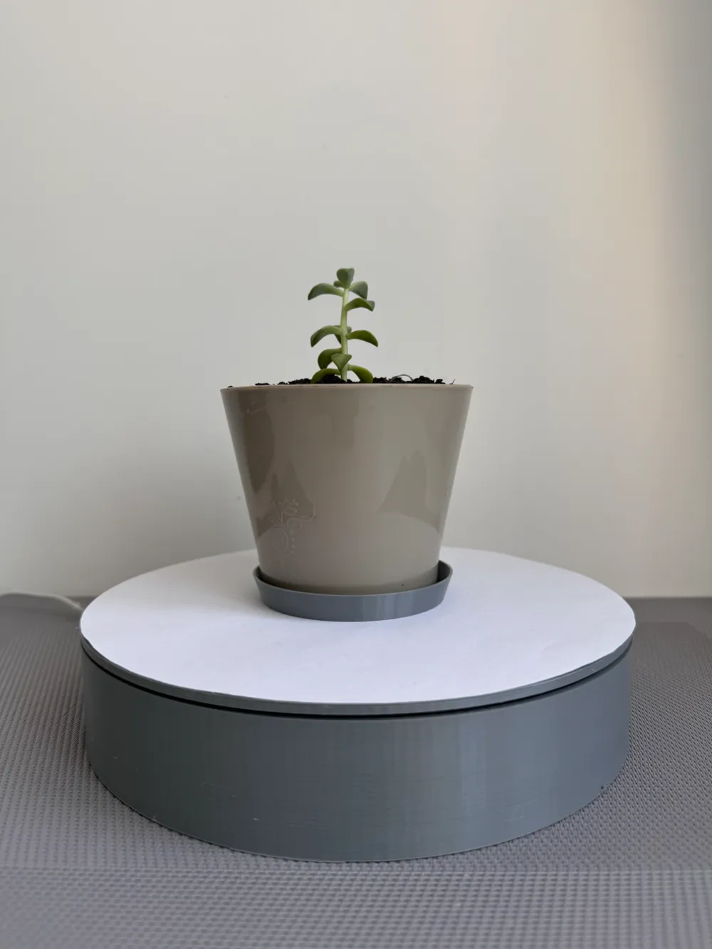 Pot plates set by MIHAI_T - MakerWorld