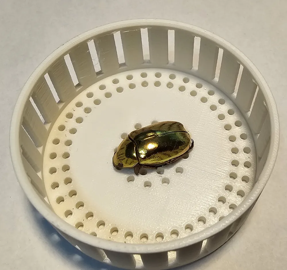 Insect rehydrating dish for insect taxidermy by Lucite - MakerWorld