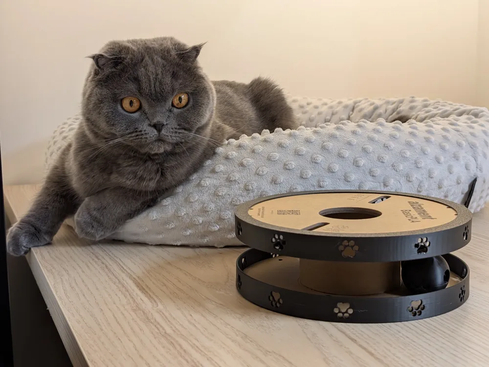 Filament Spool DIY Cat Dog Toy Treat Puzzle - Free 3D Print Model ...