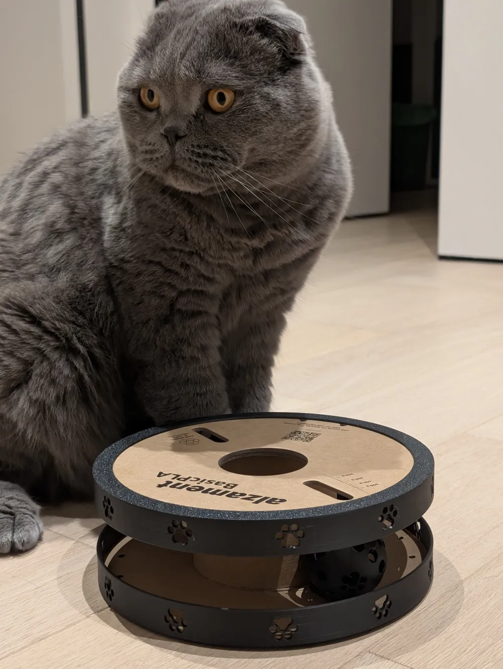 Filament Spool DIY Cat Dog Toy Treat Puzzle - Free 3D Print Model ...