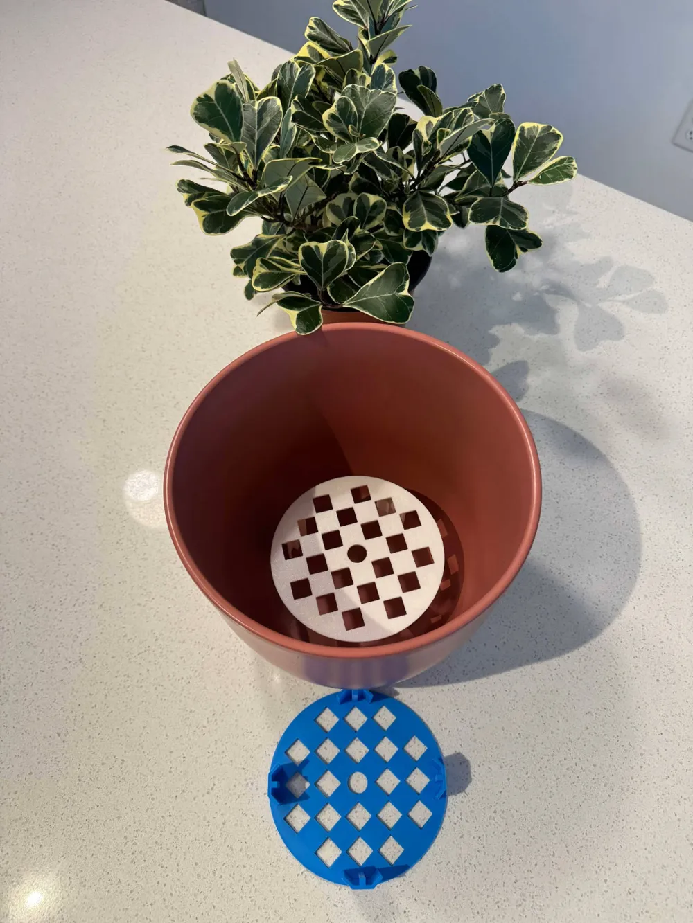 Plant Pot Riser that GROWS! by VmtSquad - MakerWorld