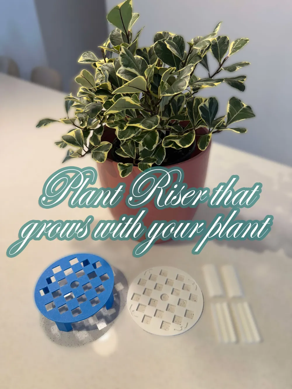 Plant Pot Riser that GROWS! by VmtSquad - MakerWorld