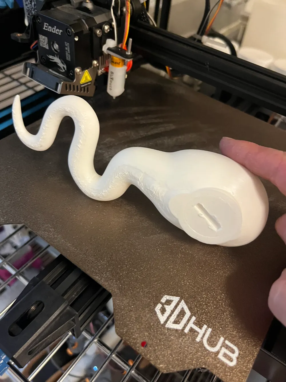 Sperm Bank (Coin Bank) by Zoidbergererer MakerWorld: Download Free 3D Models