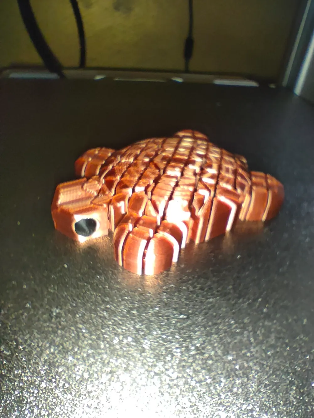 tender flexible turtle, articulated by 🔥Bacongo3D🔥 MakerWorld: Download ...