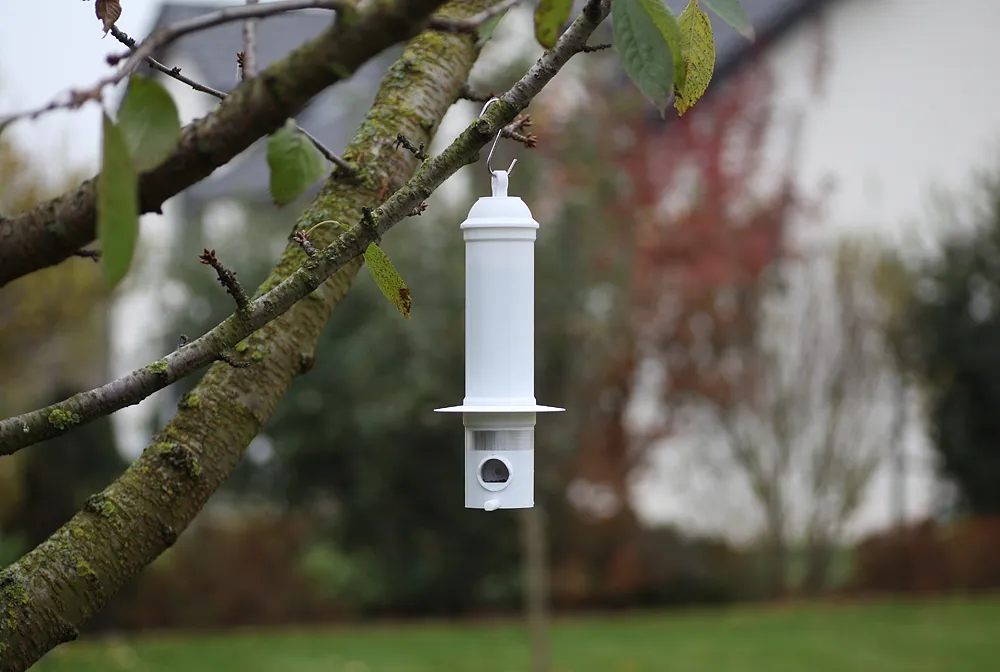 Sunflower Seed Bird Feeder (modular) by PYXIS - MakerWorld