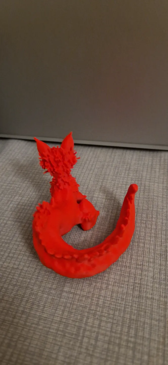 Male Dragon Kitty by Sujo - MakerWorld