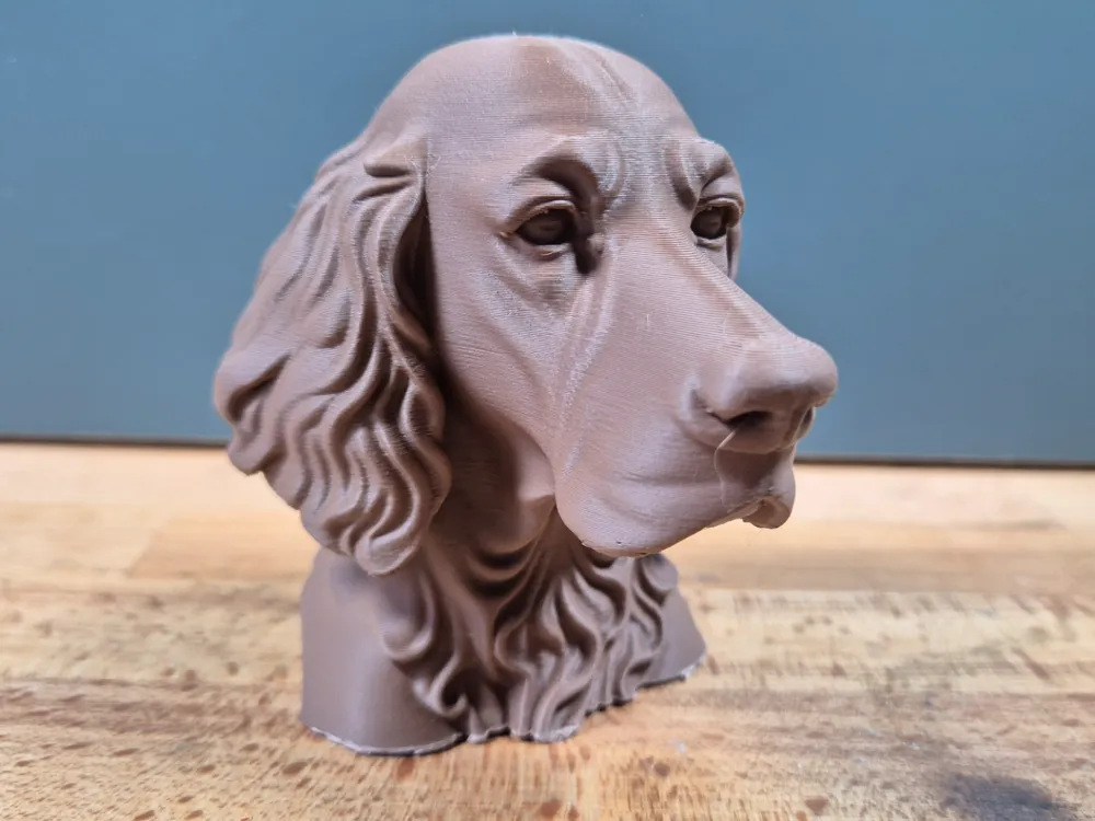 English Setter Bust by Mr.Jay MakerWorld: Download Free 3D Models
