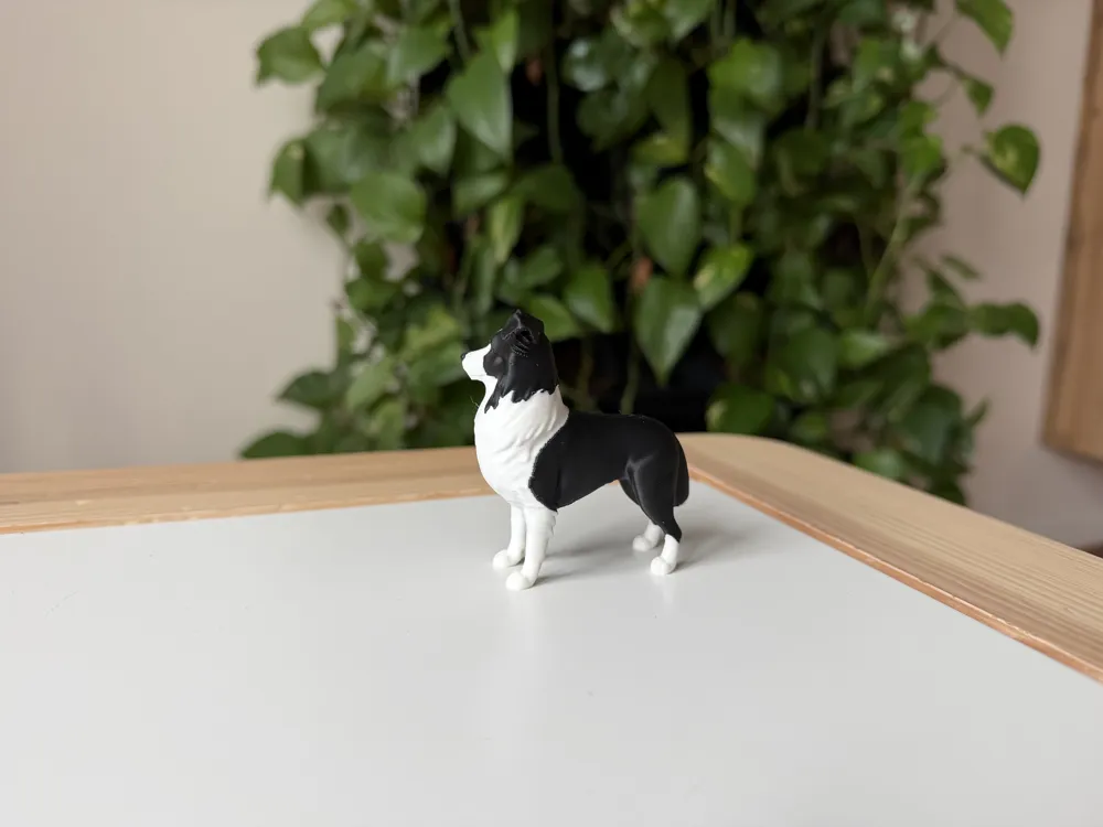 Border Collie - Free 3D Print Model - MakerWorld