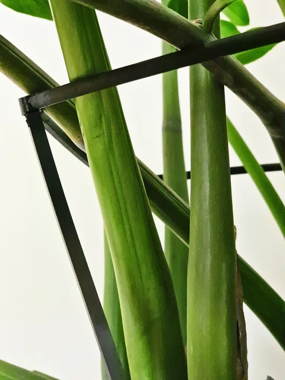 Modular plant support frame - Free 3D Print Model - MakerWorld